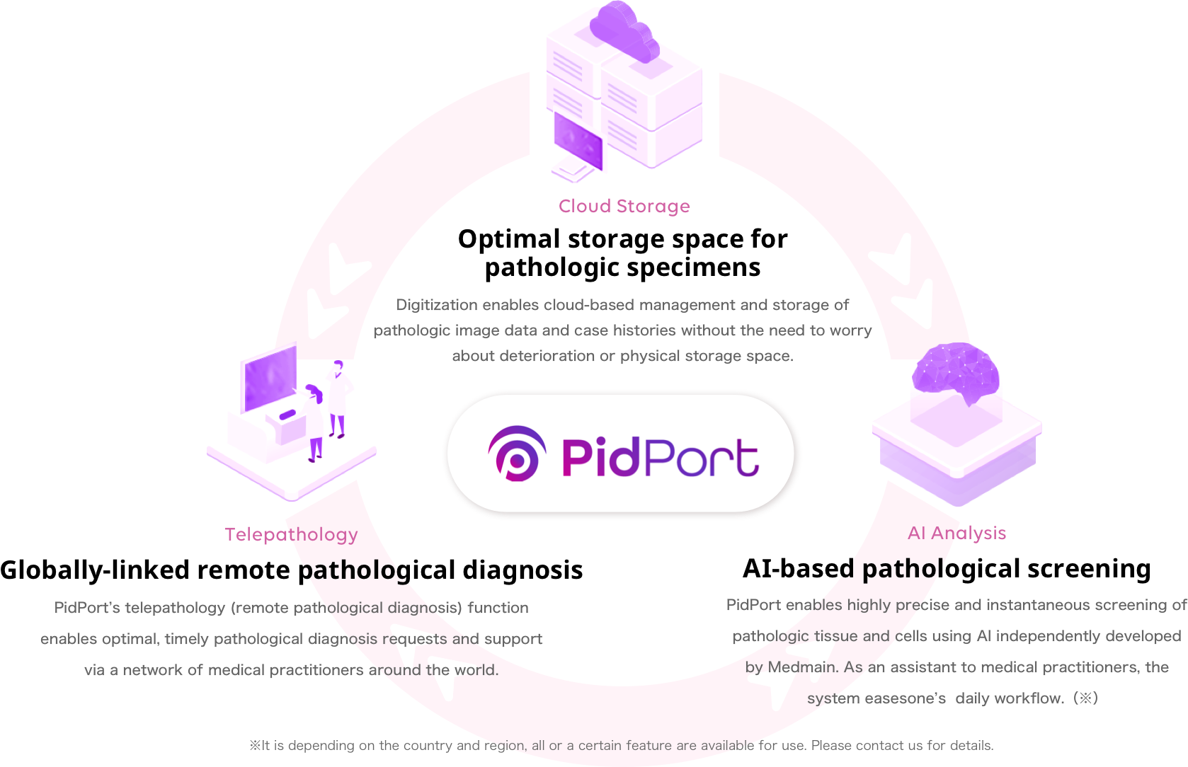PidPort｜Digital Pathology AI Analysis Solution
